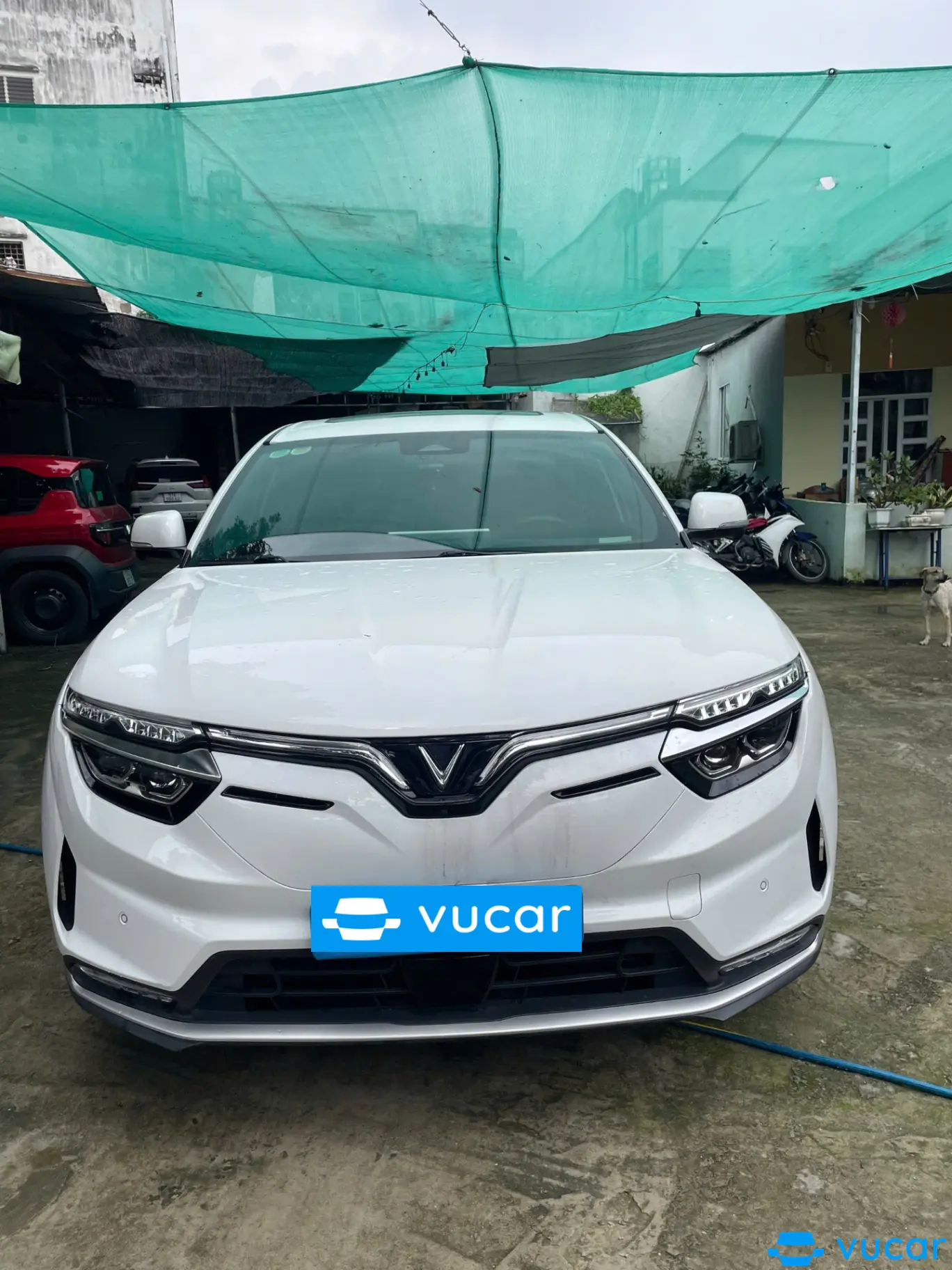 Vucar | Tin mua bán xe VinFast VF8